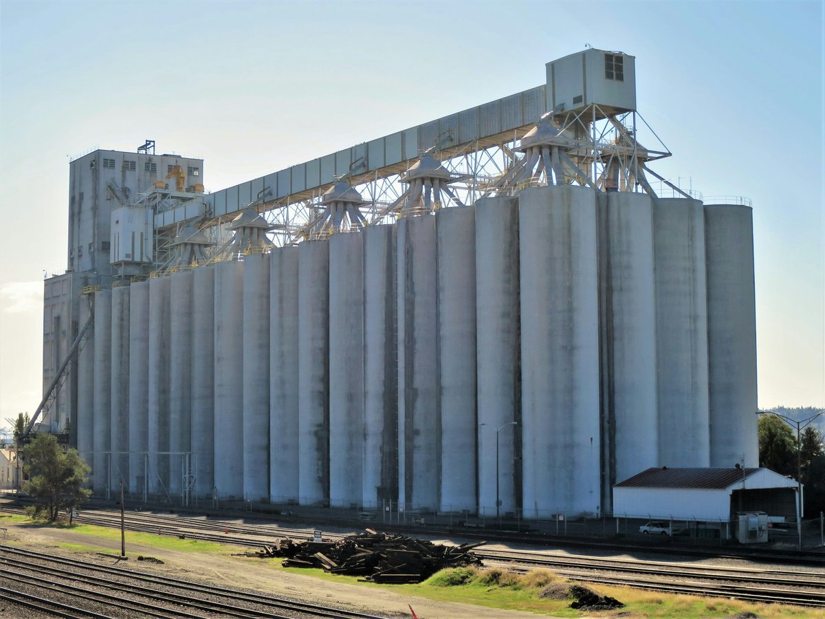 3 Best Practices for Preventing Spoilage During Grain Storage